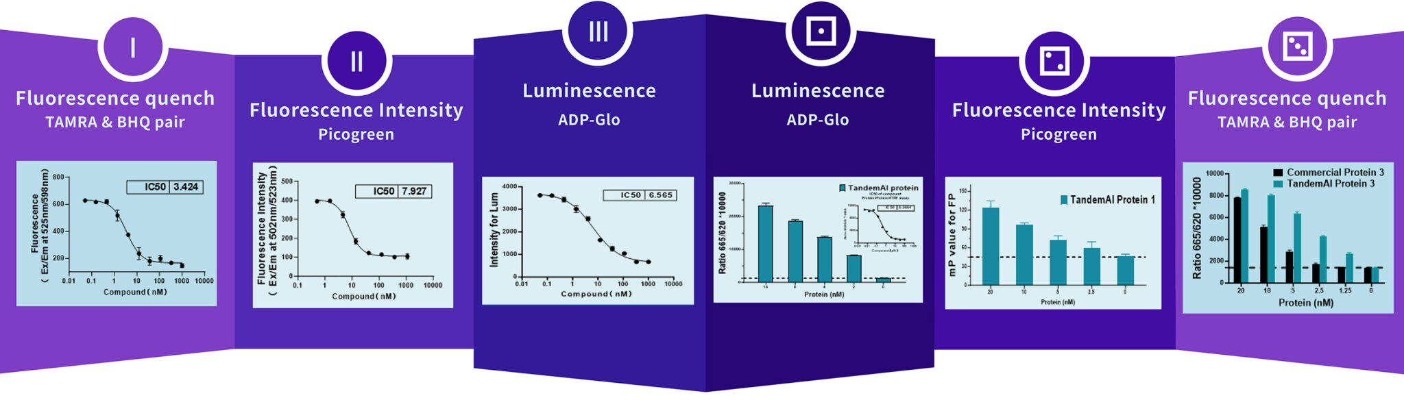 Biology Assays | TandemAI