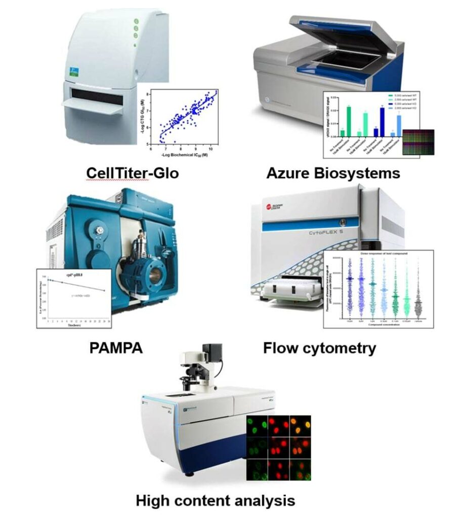 Biology Assays | TandemAI