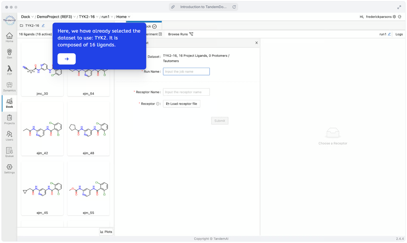 Introduction to TandemDock - TandemAI